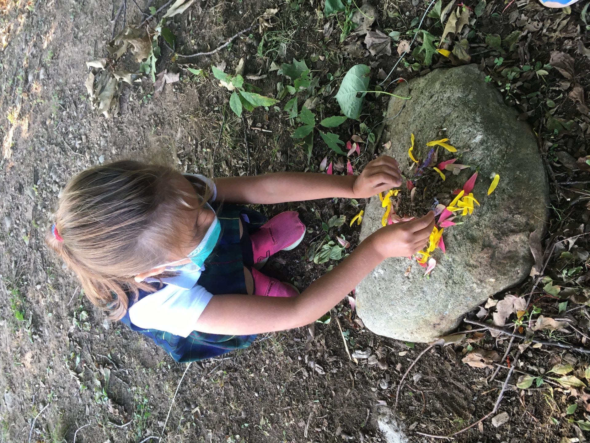 Unquowa School | Andy Goldsworthy – Environmental Art